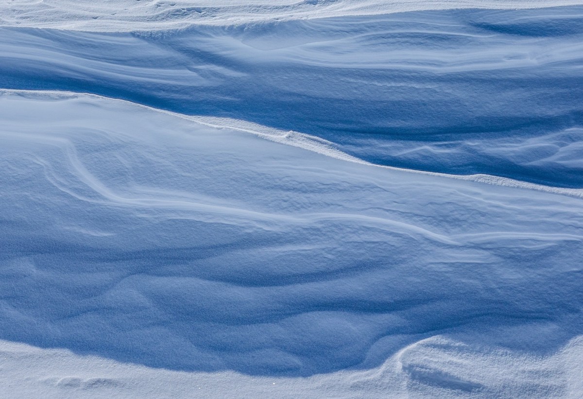 Designed for Purity 5 – Relationship between Parents and Children ...